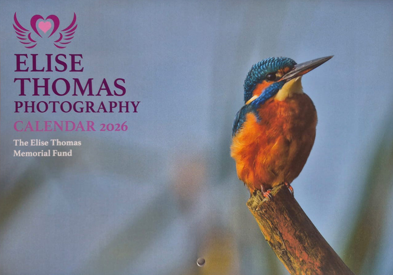 Calendar - 2026 (50% Off) – Elise Thomas Memorial Fund